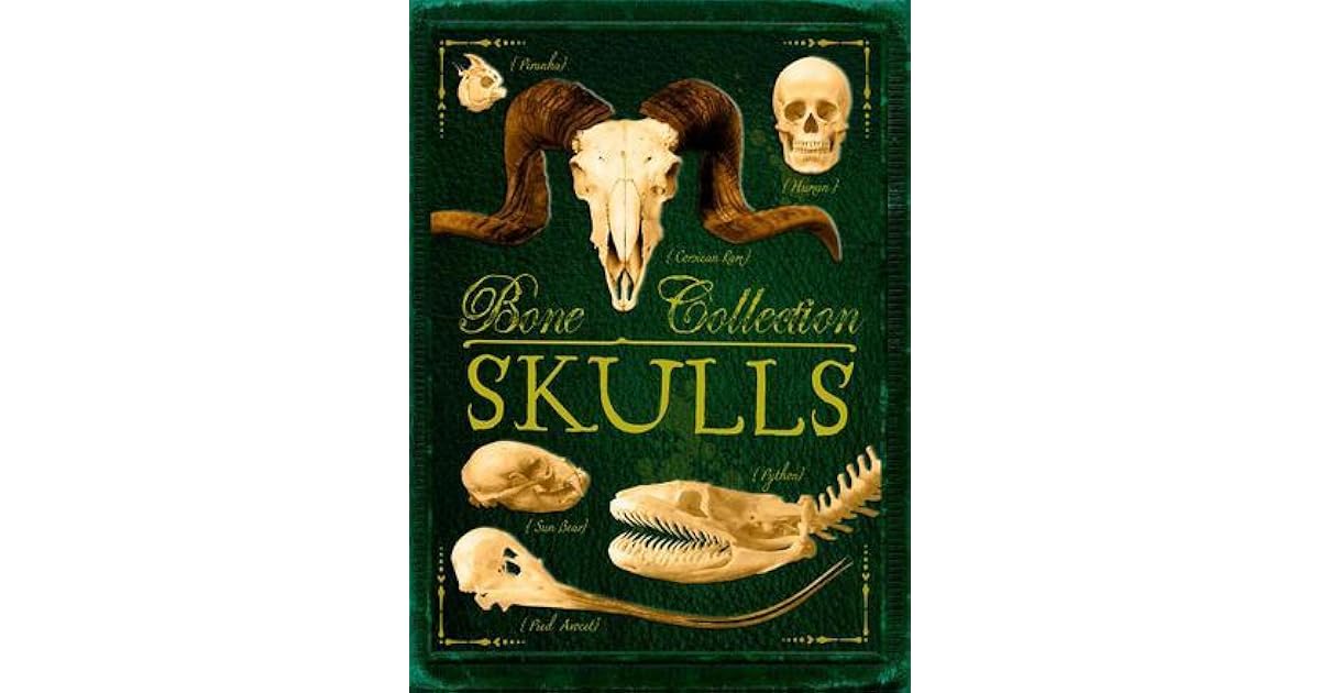 Bone Collection: Skulls by Rob Scott Colson
