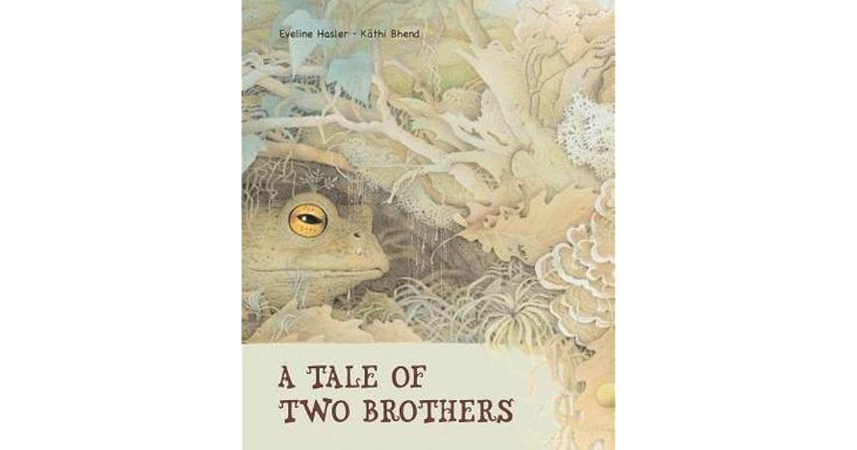 A Tale of Two Brothers by Eveline Hasler