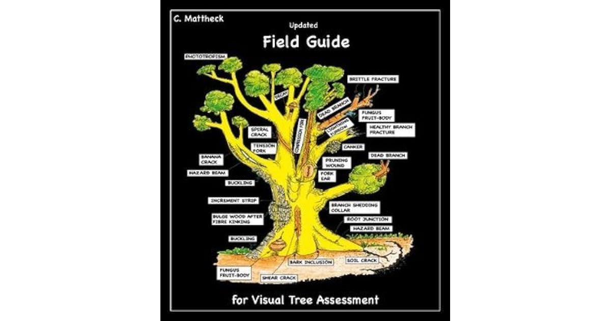 Updated Field Guide for Visual Tree Assessment by Claus Mattheck