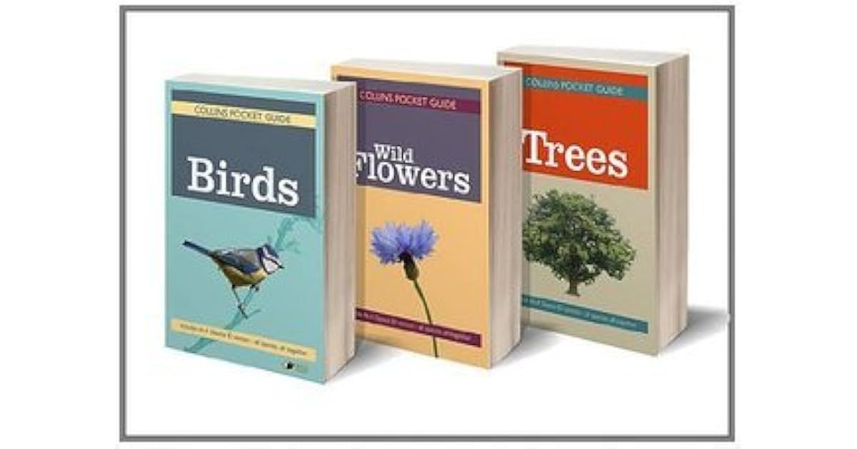 Collins British Wild Flower Guide by David Streeter