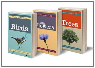 Collins British Wild Flower Guide by David Streeter
