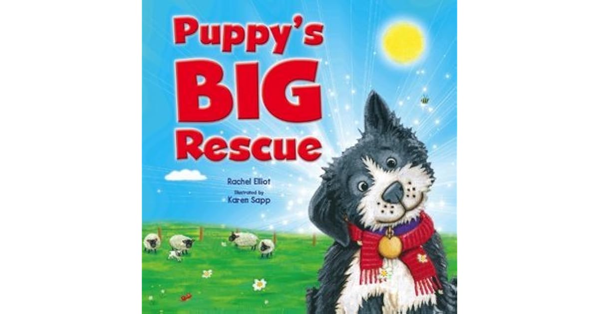 Puppy's Big Rescue by Rachel Elliot