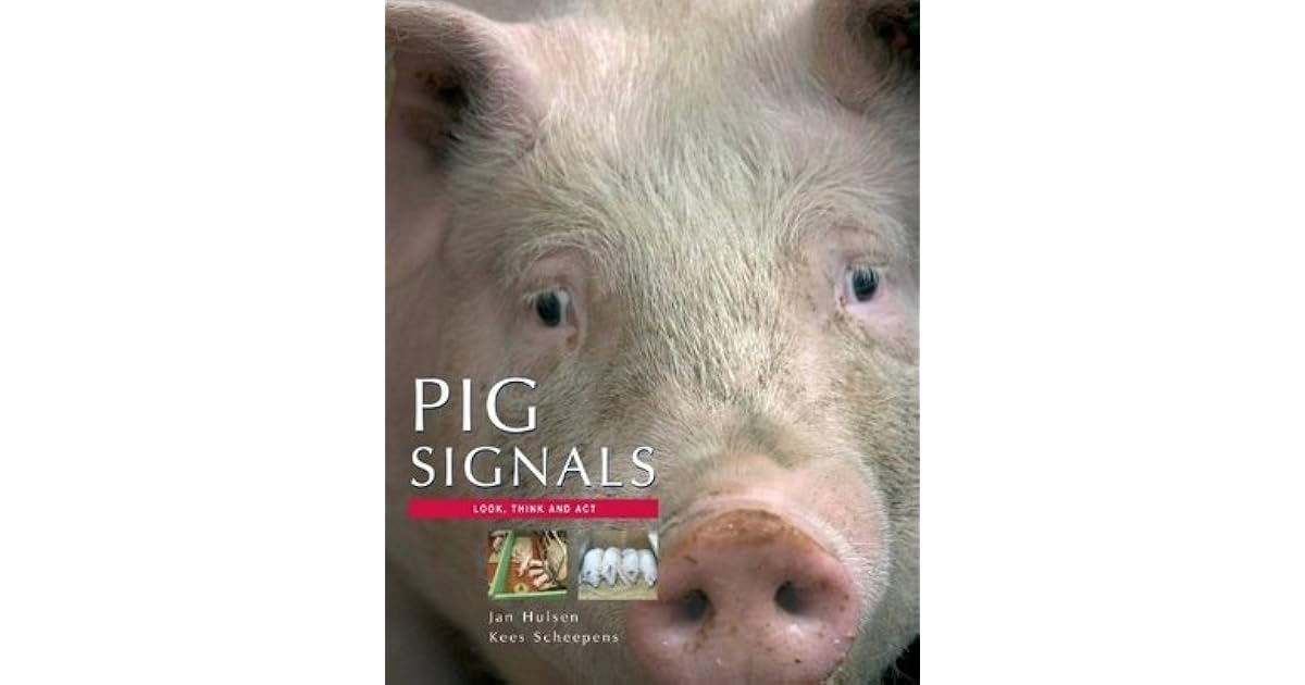 Pig Signals: Look think and act by J. Hulsen