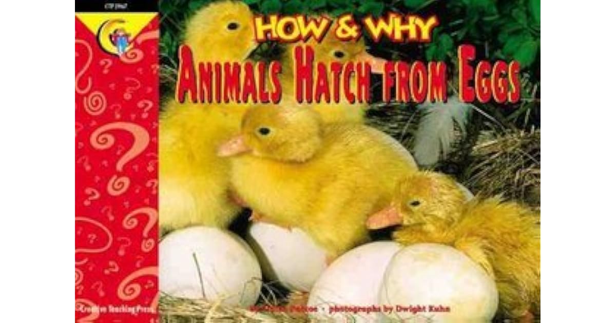 How and Why Animals Hatch from Eggs by Elaine Pascoe