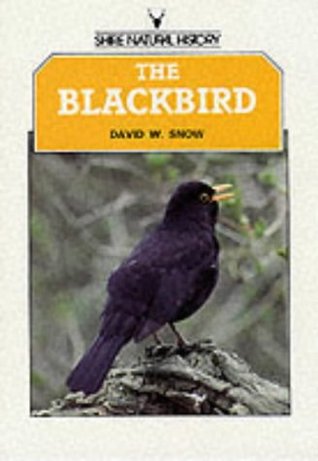 The Blackbird by David W. Snow