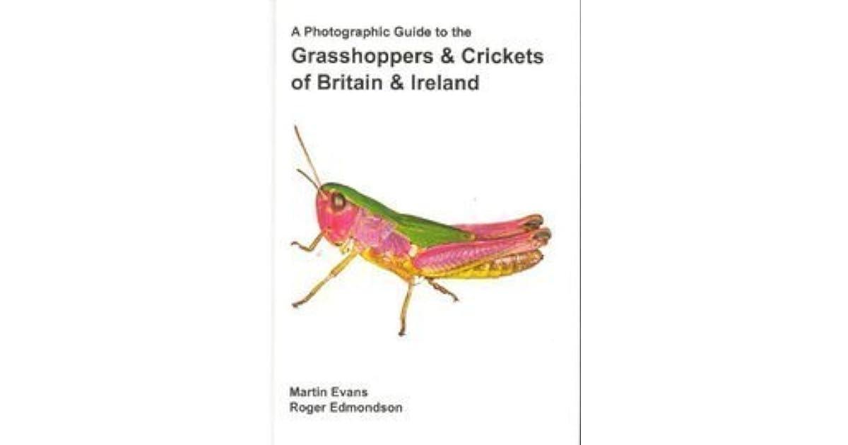 A Photographic Guide To The Grasshoppers And Crickets Of Britain And ...