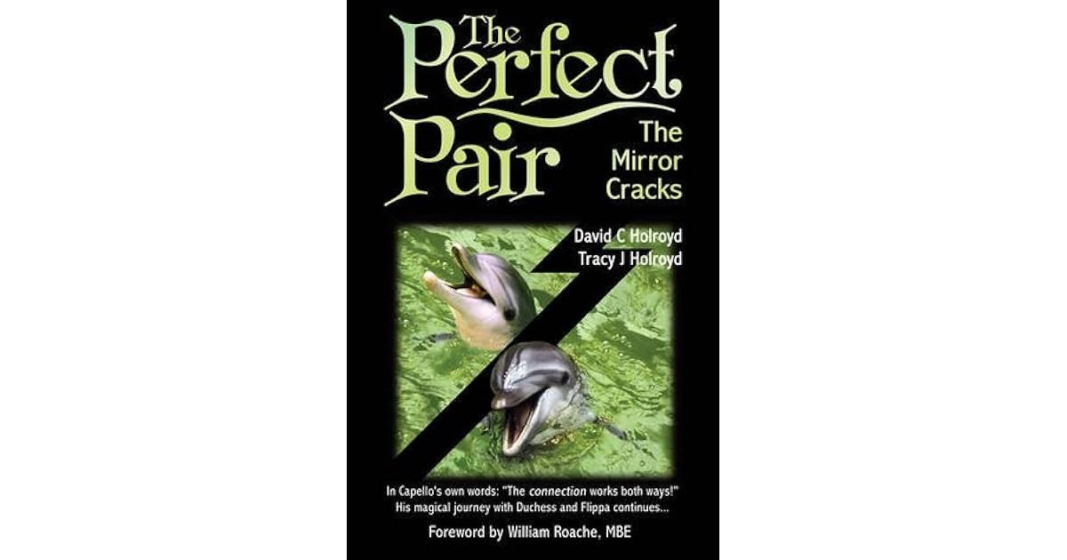 The Perfect Pair by David C. Holroyd