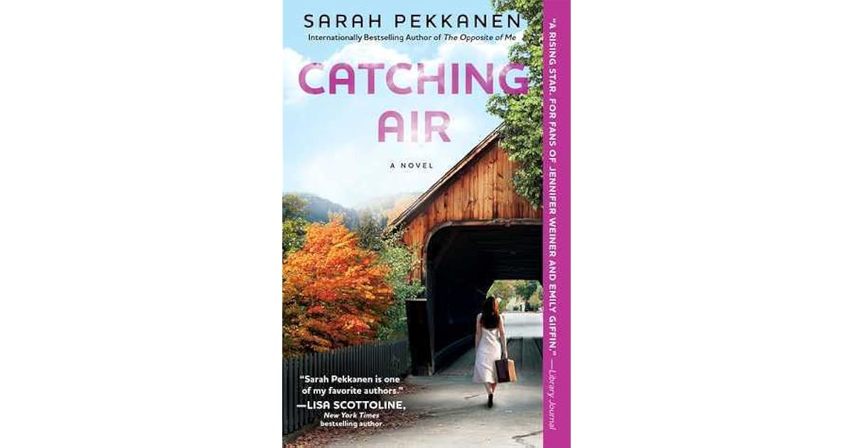 Catching Air by Sarah Pekkanen