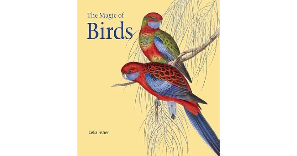The Magic of Birds by Celia Fisher