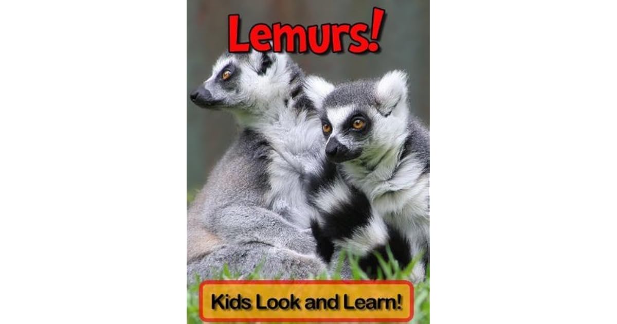 Lemurs! Learn About Lemurs and Enjoy Colorful Pictures - Look and Learn ...