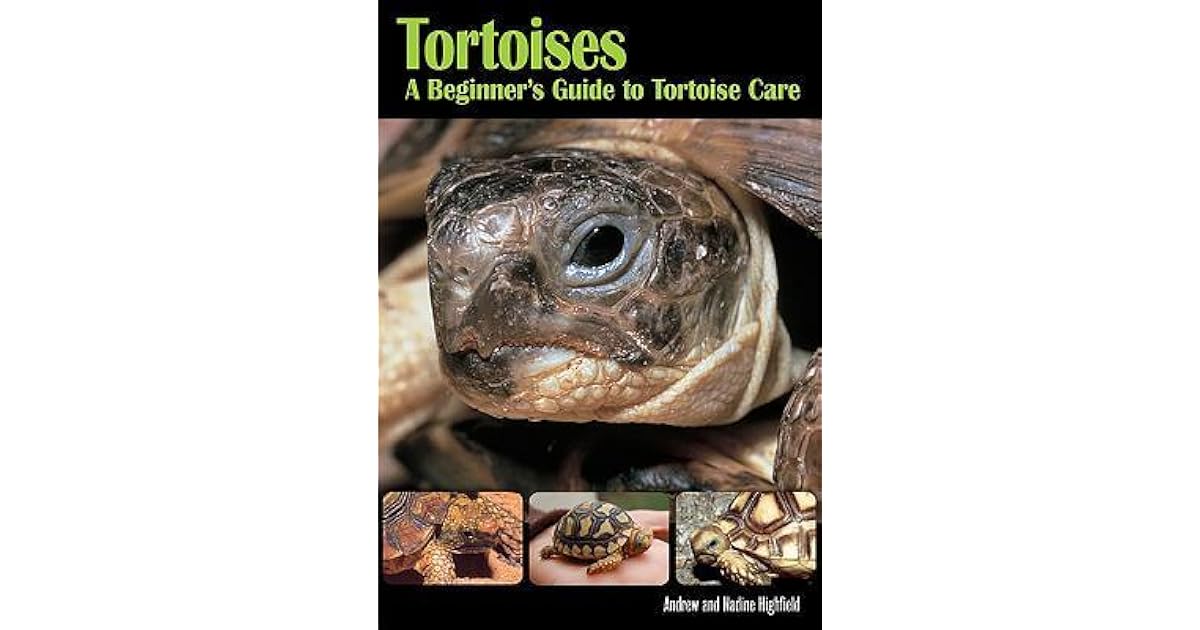Tortoises: A Beginner's Guide to Tortoise Care by A.C. Highfield