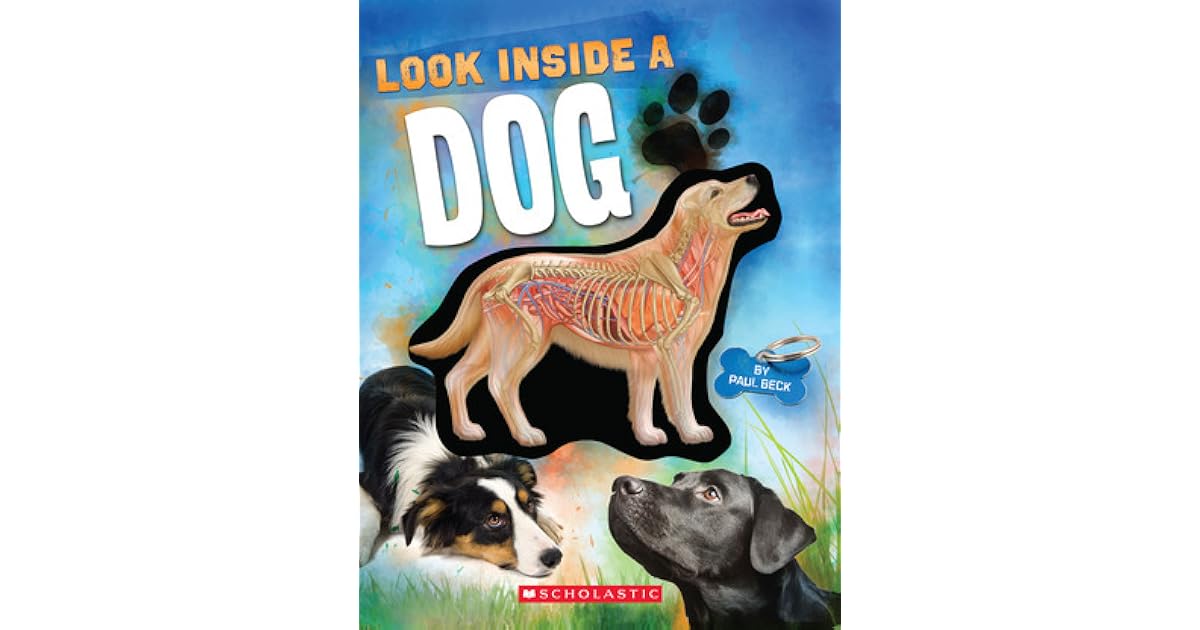 Look Inside a Dog by Paul Beck