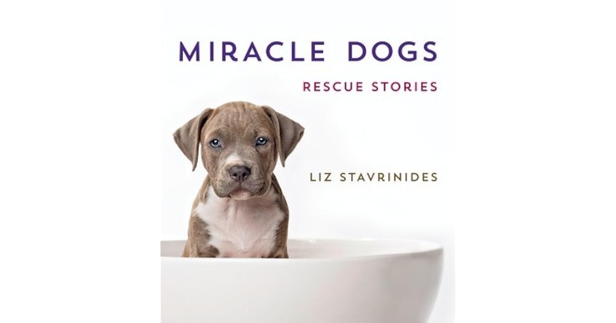 Miracle Dogs: Rescue Stories by Liz Stavrinides