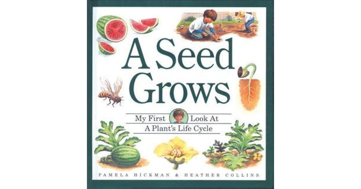 A Seed Grows by Pamela Hickman