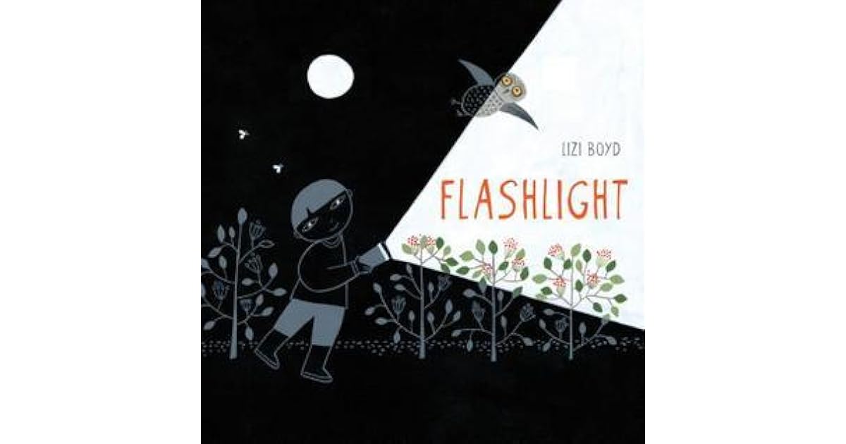 Flashlight by Lizi Boyd