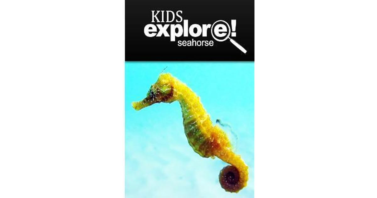 Seahorse - Kids Explore: Animal books nonfiction - books ages 5-6 by ...