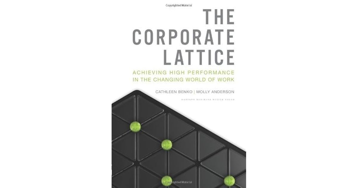 The Corporate Lattice: Achieving High Performance In the Changing World ...