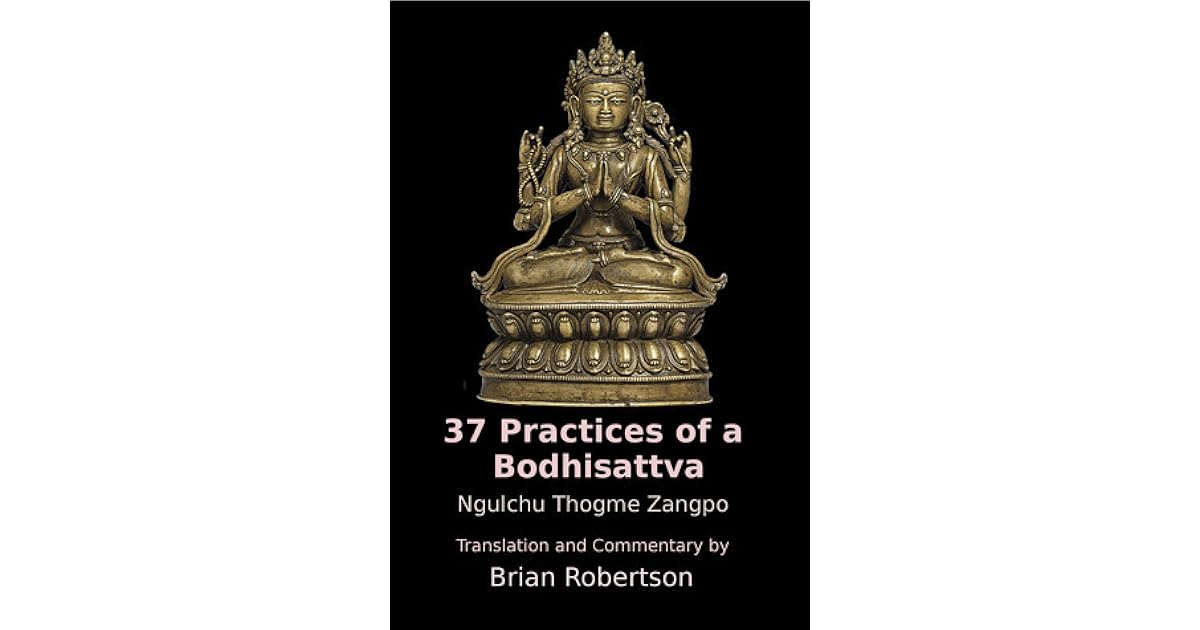37 Practices of a Bodhisattva: The Way of an Awakening Being by Brian Robertson