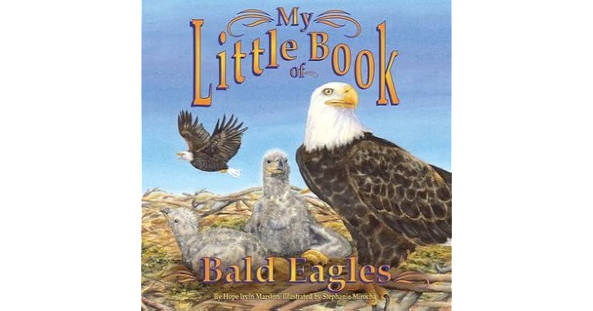 My Little Book of Bald Eagles by Hope Irvin Marston