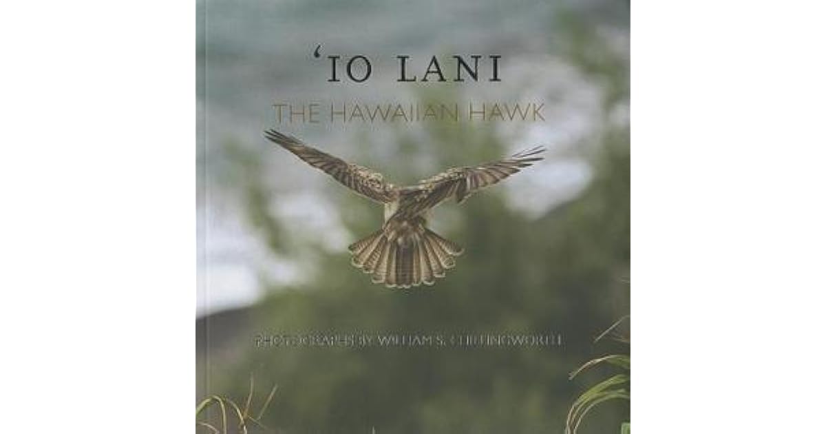 IO Lani: The Hawaiian Hawk by John Culliney