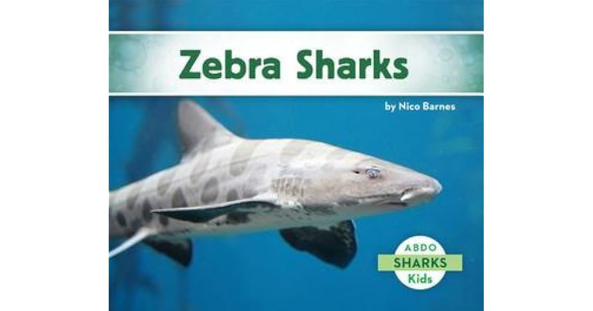 Zebra Sharks by Nico Barnes