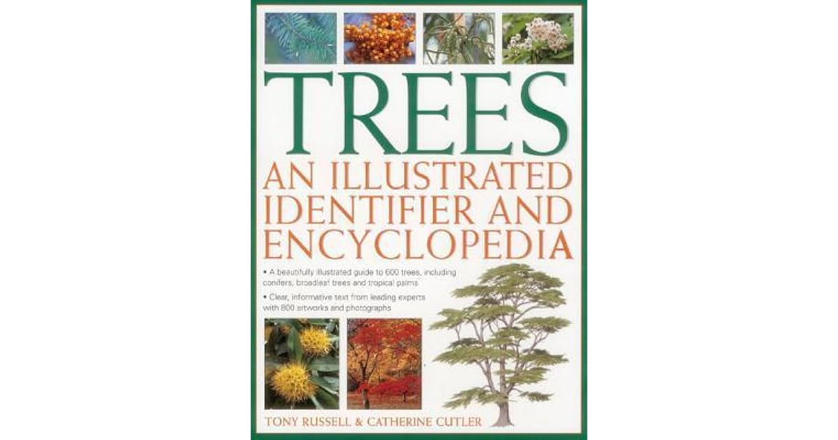 Trees: An Illustrated Identifier and Encyclopedia: A Beautifully ...