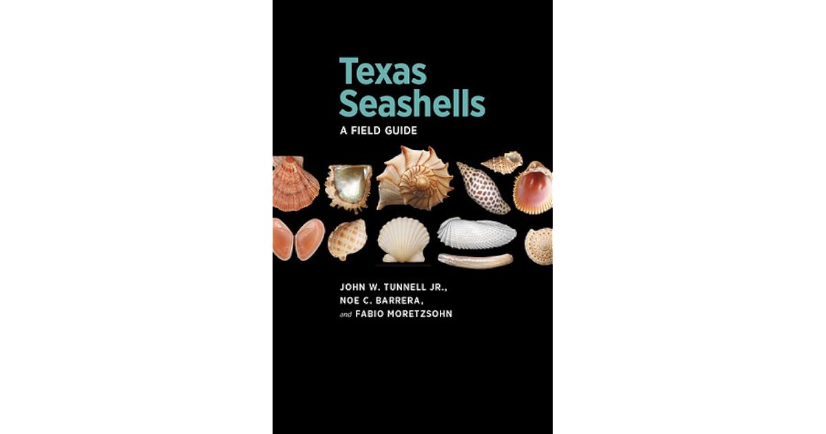 Texas Seashells: A Field Guide by John W. Tunnell