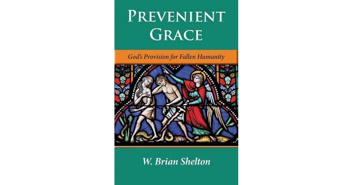 Prevenient Grace: God's Provision for Fallen Humanity by W. Brian Shelton