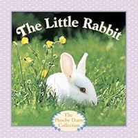 The Little Rabbit by Judy Dunn