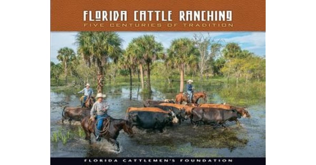 Florida Cattle Ranching: Five Centuries of Tradition by Robert L. Stone