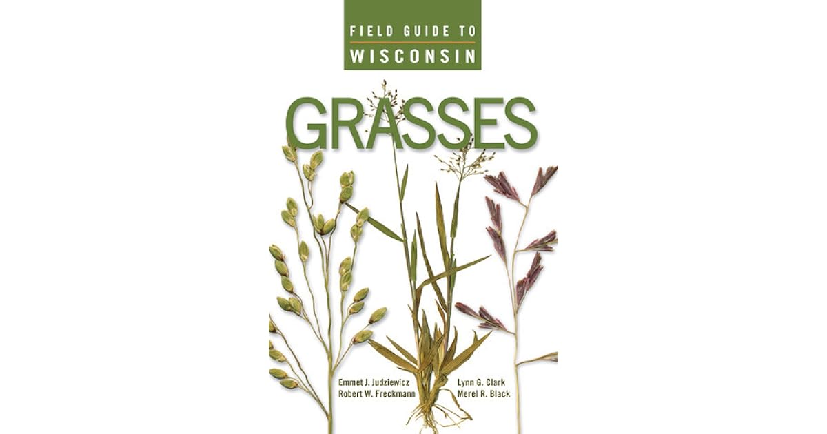 Field Guide to Wisconsin Grasses by Emmet J. Judziewicz