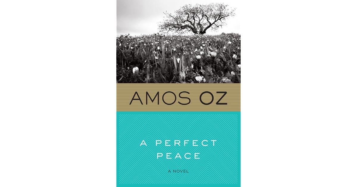 A Perfect Peace by Amos Oz