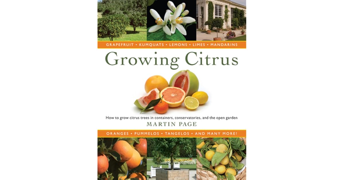 Growing Citrus: The Essential Gardener's Guide by Martin Page