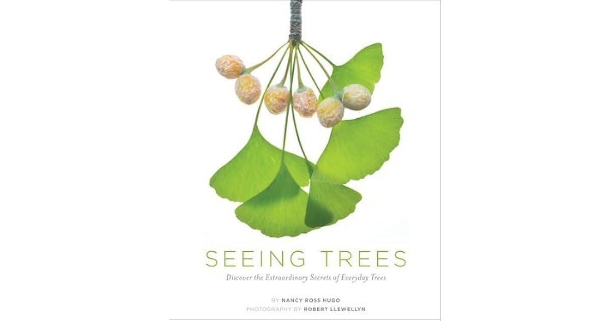 Seeing Trees: Discover the Extraordinary Secrets of Everyday Trees by ...