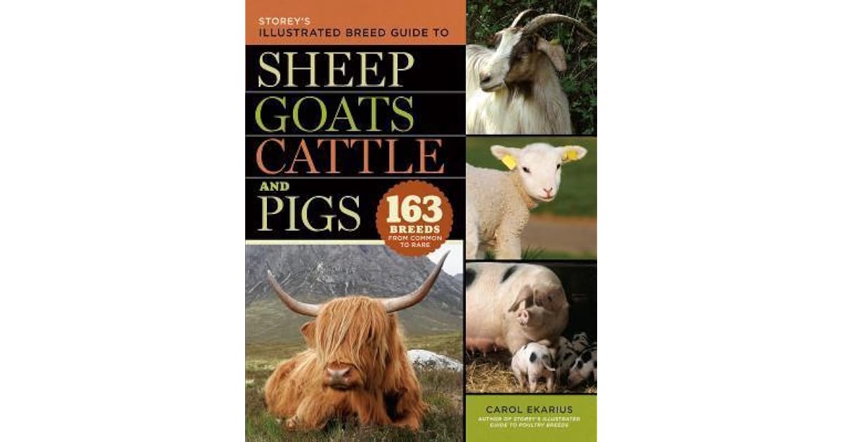 Storey's Illustrated Breed Guide to Sheep, Goats, Cattle and Pigs: 163 ...
