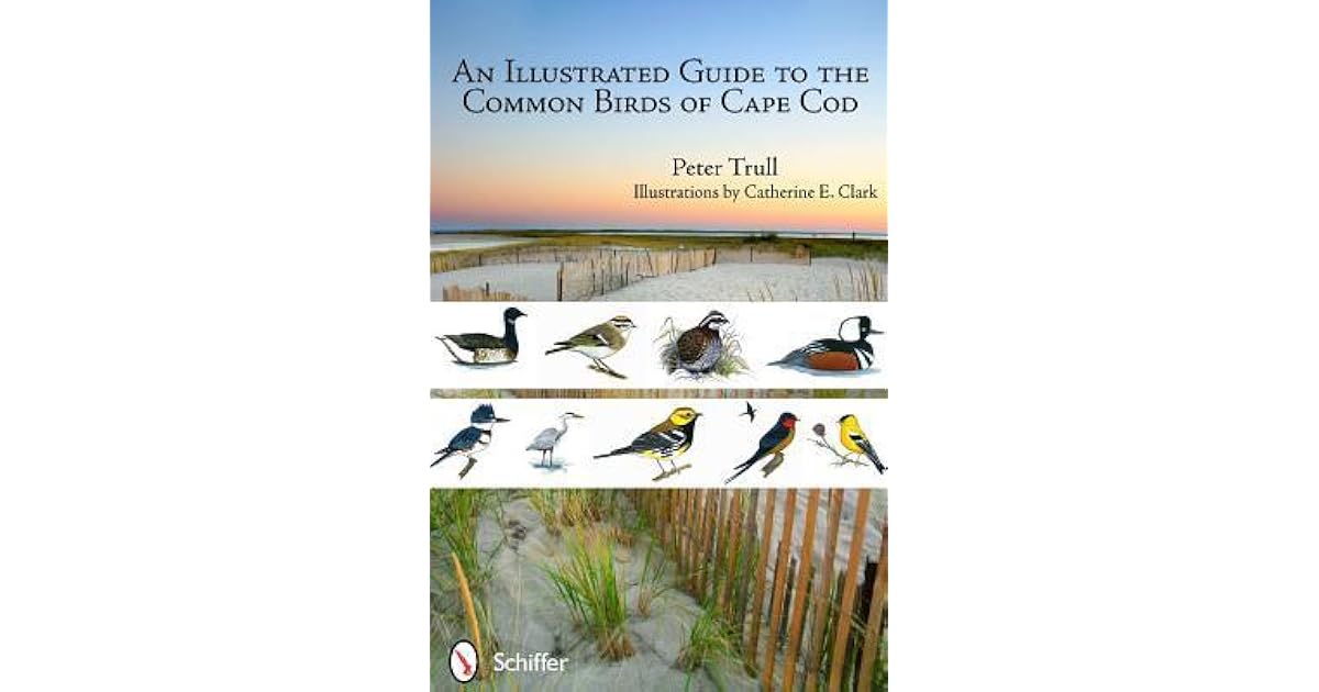An Illustrated Guide to the Common Birds of Cape Cod by Peter Trull