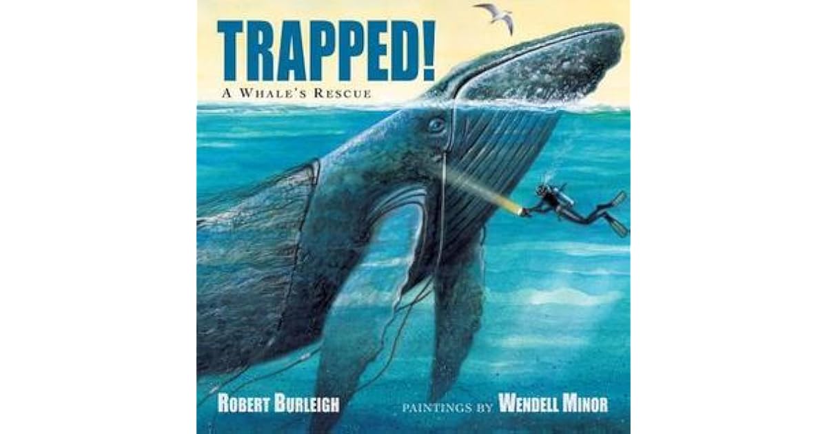 Trapped!: A Whale's Rescue by Robert Burleigh