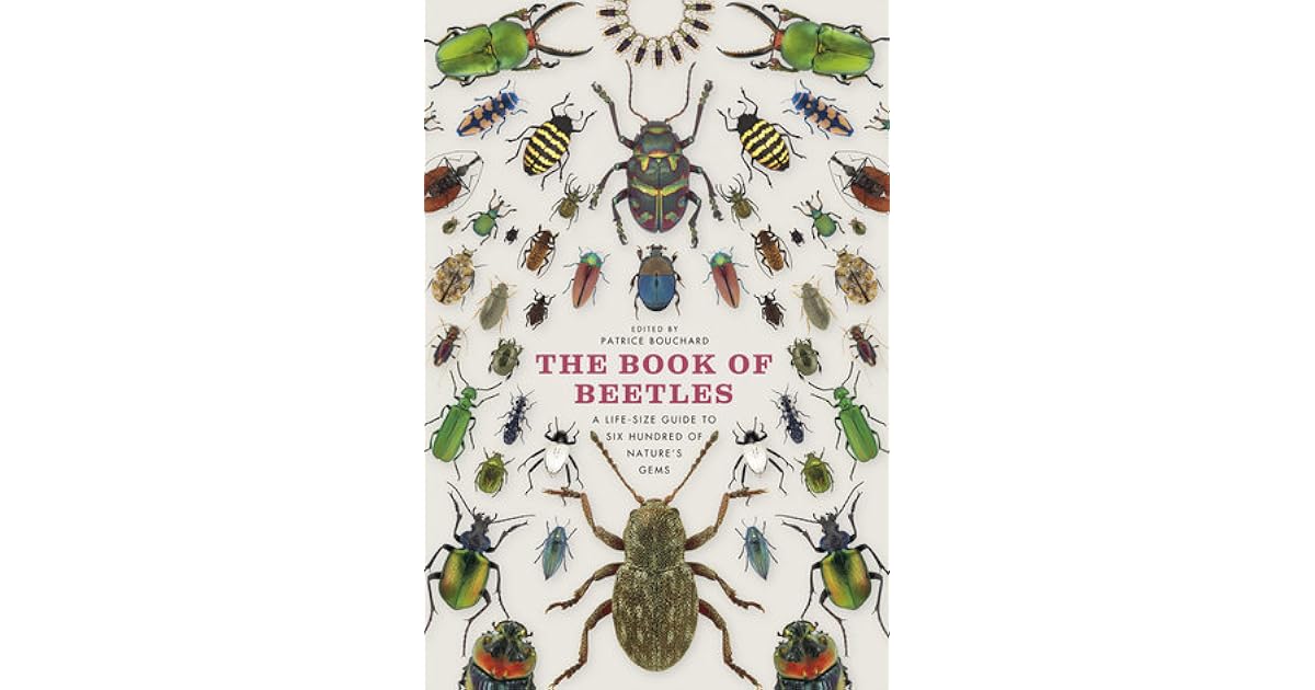 The Book of Beetles: A Life-Size Guide to Six Hundred of Nature's Gems ...
