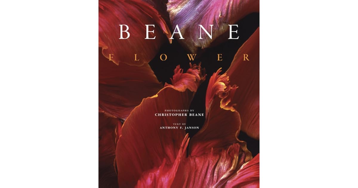 Flower by Christopher Beane