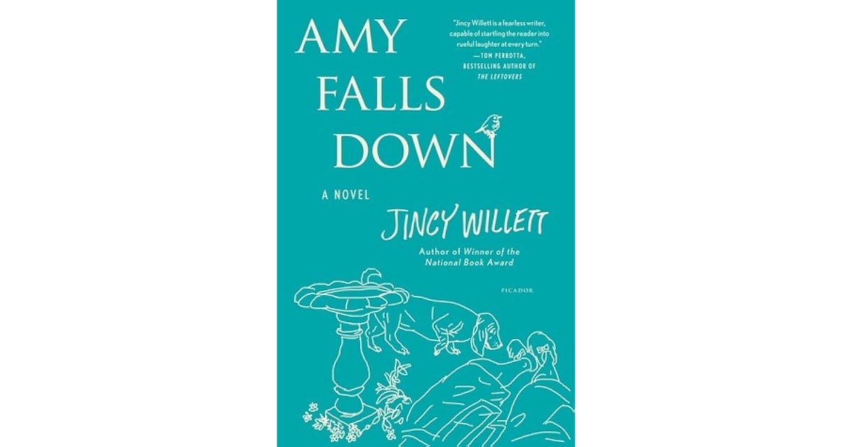 Amy Falls Down (Amy Gallup, #2) by Jincy Willett