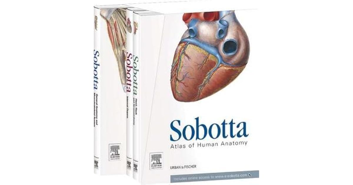 Sobotta Atlas of Human Anatomy, Package, 15th Ed., English/Latin ...