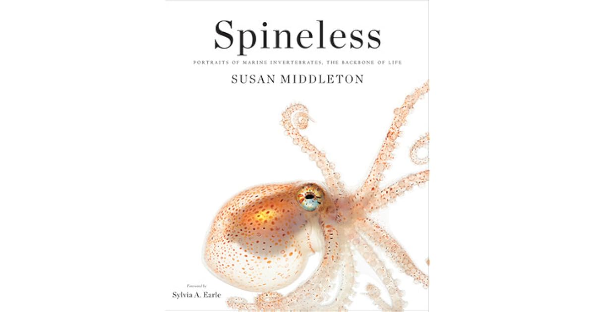Spineless: Portraits of Marine Invertebrates, the Backbone of Life by ...