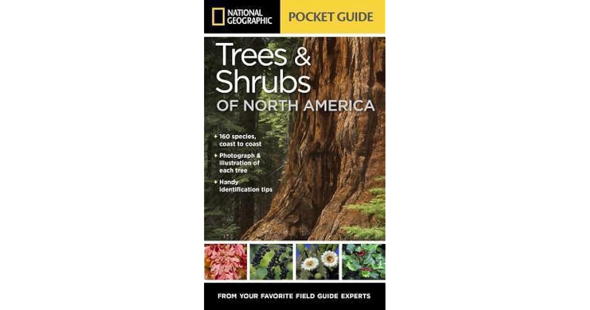National Geographic Pocket Guide to Trees and Shrubs of North America ...