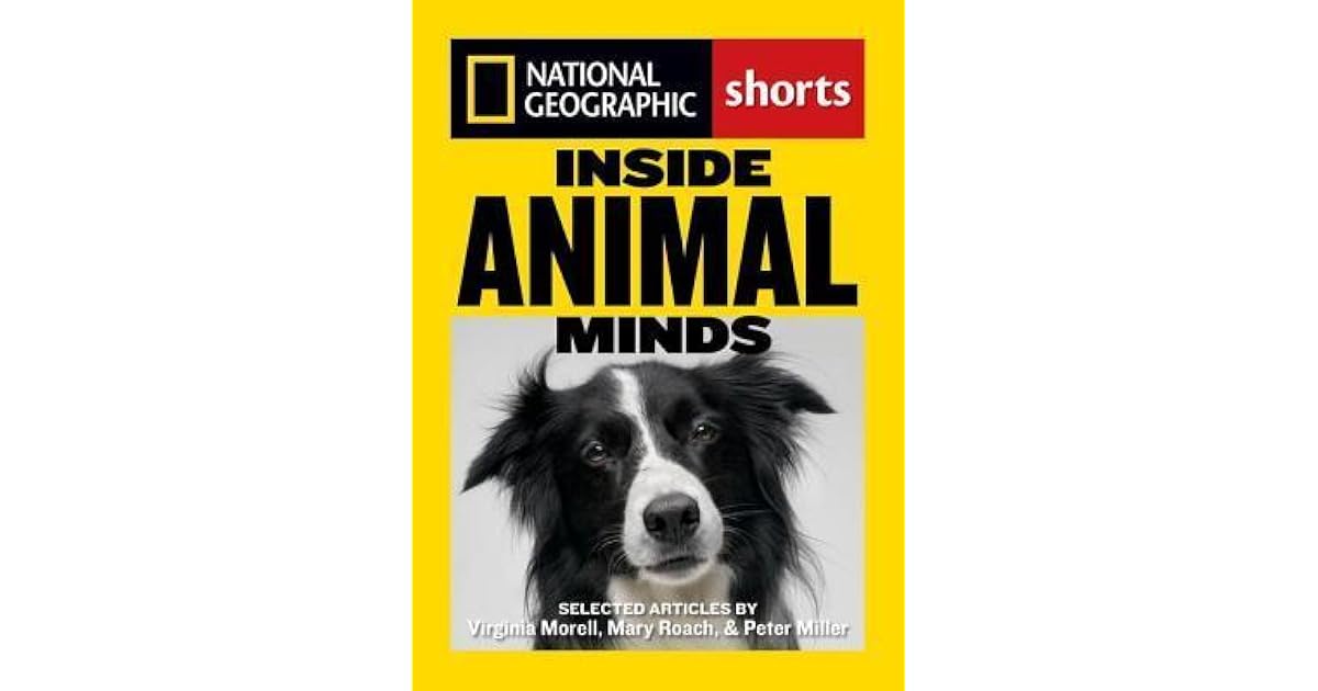 Inside Animal Minds: The New Science of Animal Intelligence by Virginia ...