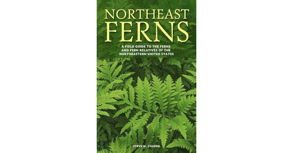 Northeast Ferns: A Field Guide to the Ferns and Fern Relatives of the ...