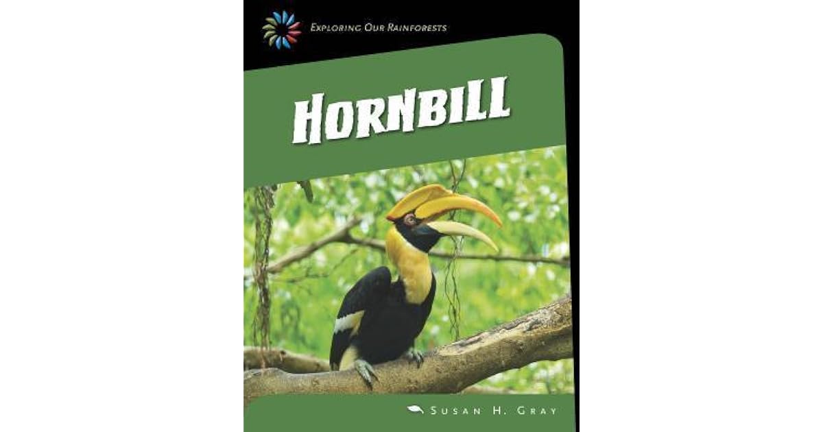 Great Hornbill by Susan H. Gray