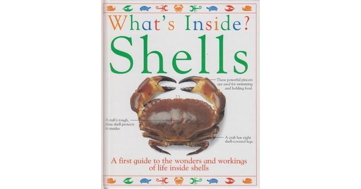 What's Inside?: Shells by D.K. Publishing