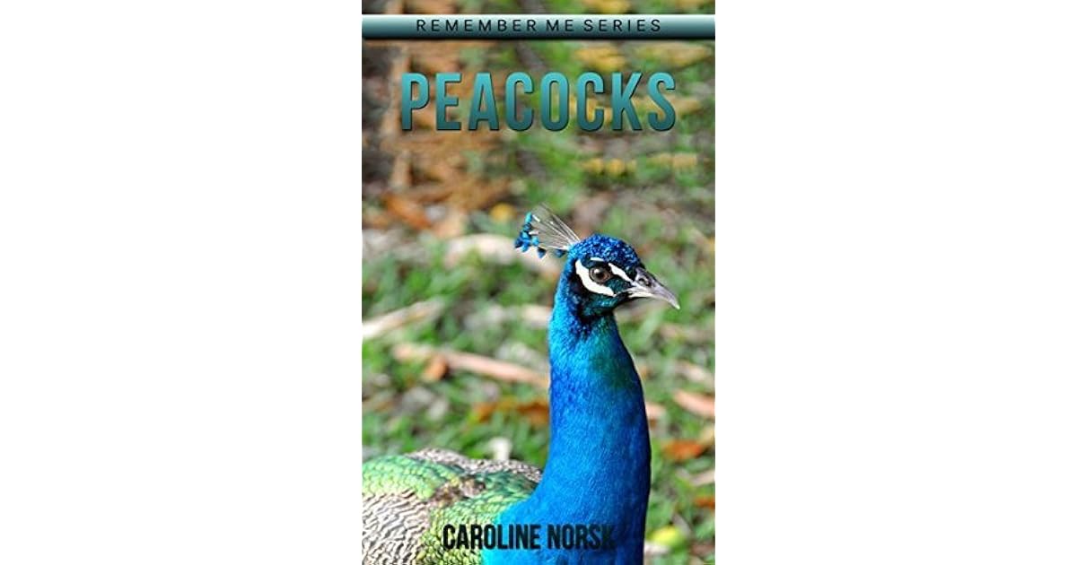 Peacock: Amazing Photos & Fun Facts Book About Peacock For Kids by ...
