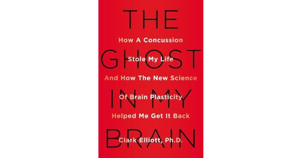The Ghost in My Brain: How a Concussion Stole My Life and How the New ...