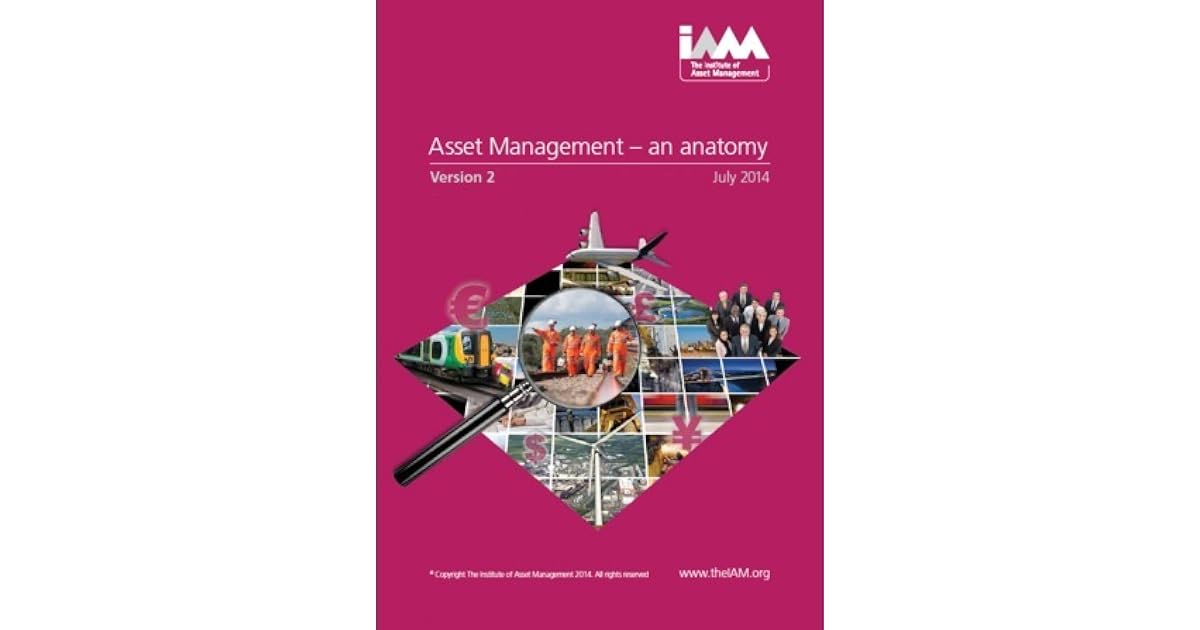 Asset Management - an anatomy v2 by The Institute of Asset Management